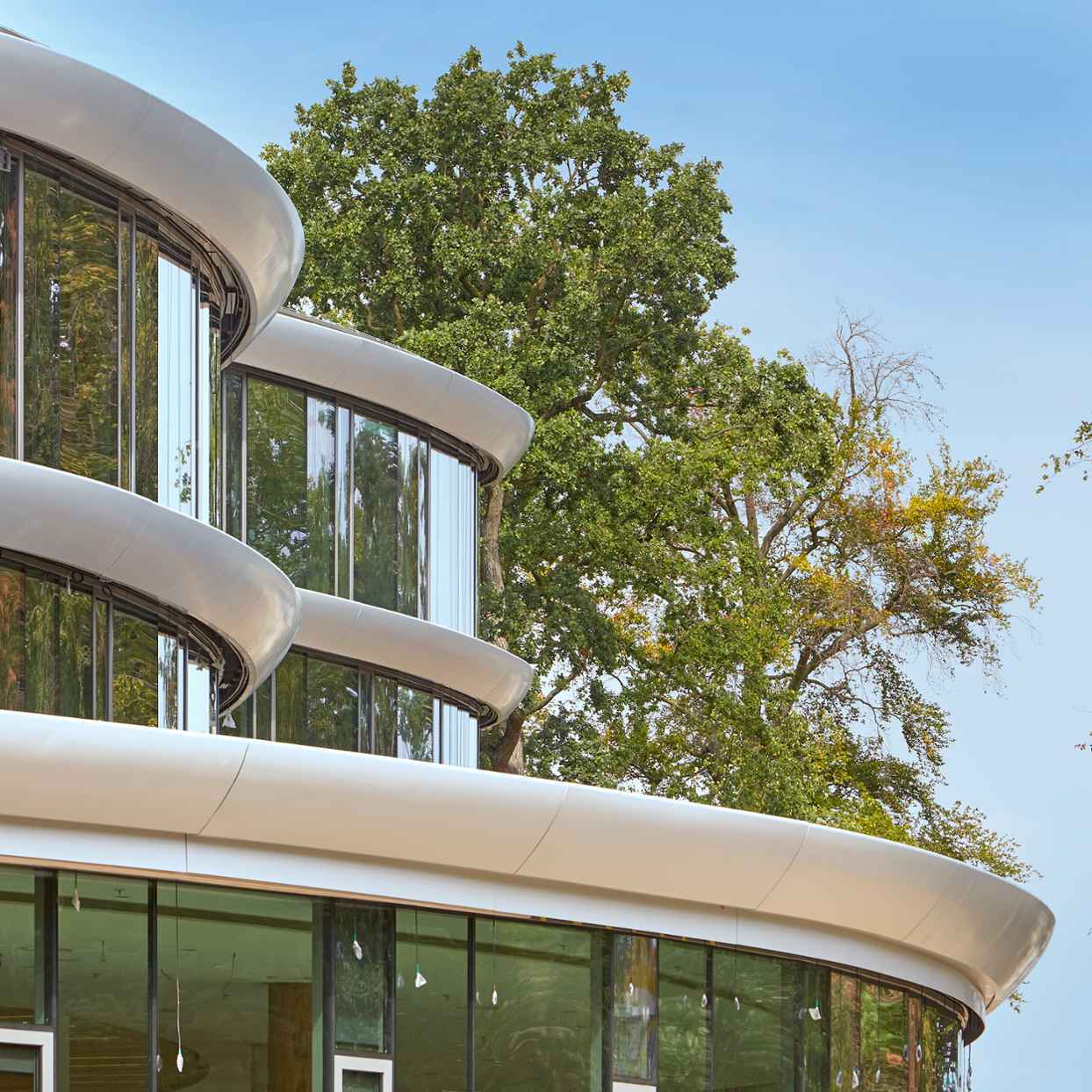 Triodos Bank on post-growth | Triodos Bank