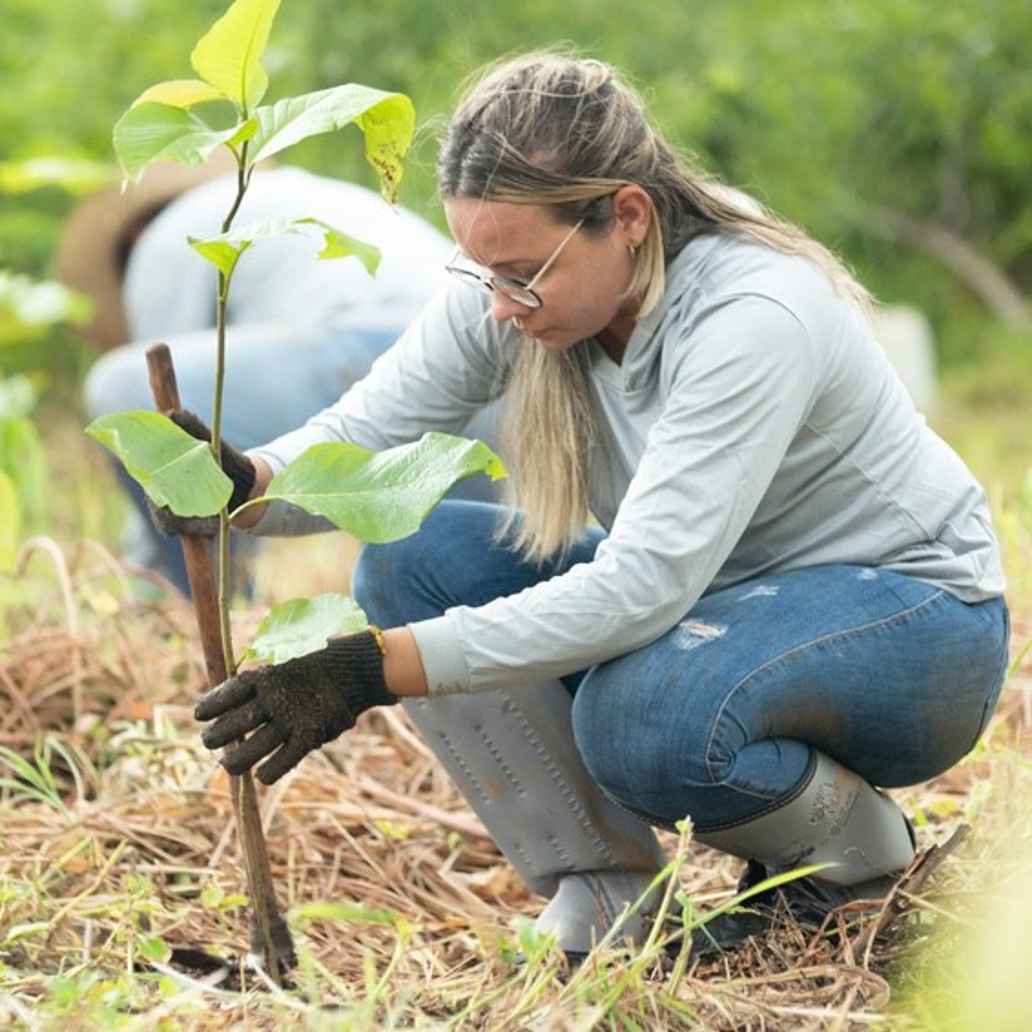 Sumthing’s transparent approach to Nature Restoration | Triodos Bank