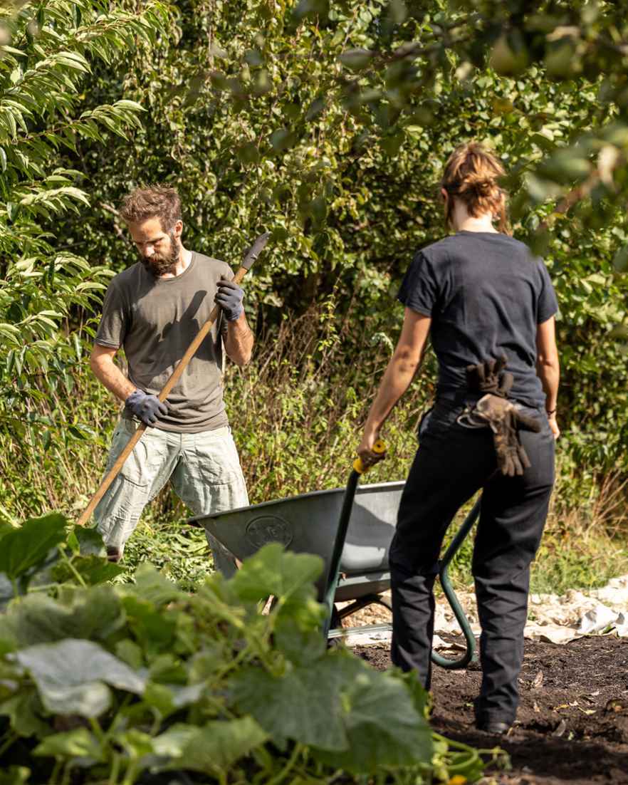 Triodos Regenerative Money Centre | Supporting early-stage change makers