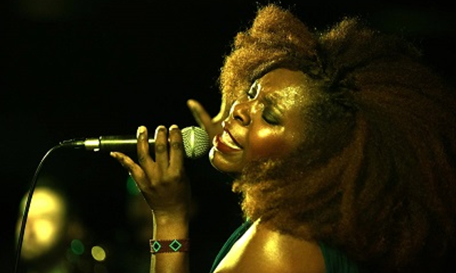 Freedonia Soul | Triodos Bank